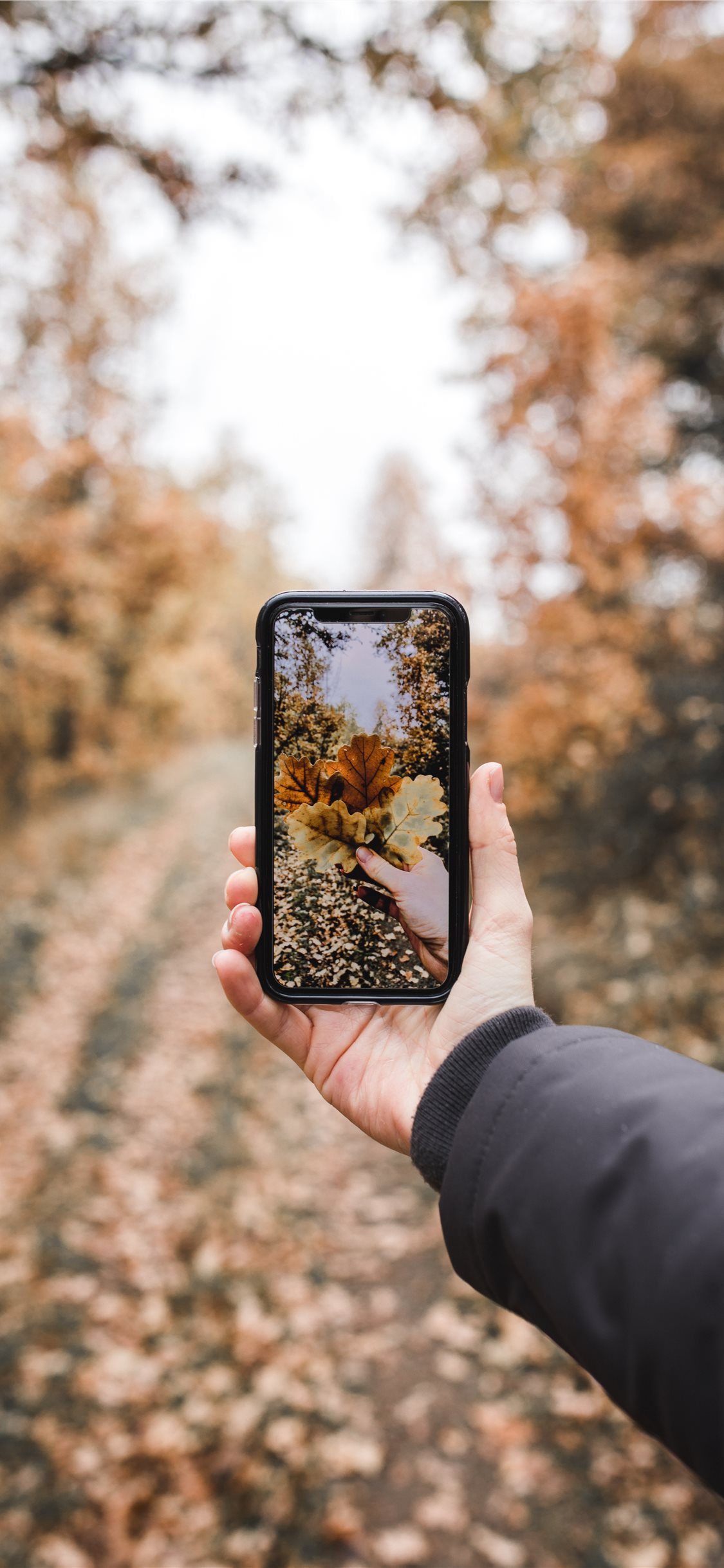 Best Photography Phone - 1125x2436 Wallpaper - teahub.io