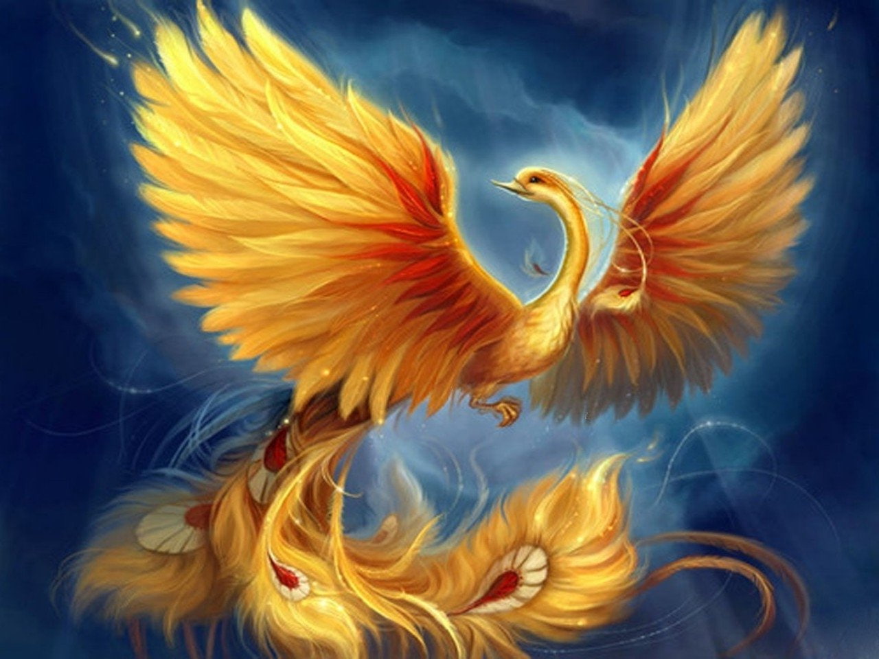 Mythical Creatures Phoenix - 1280x960 Wallpaper - teahub.io