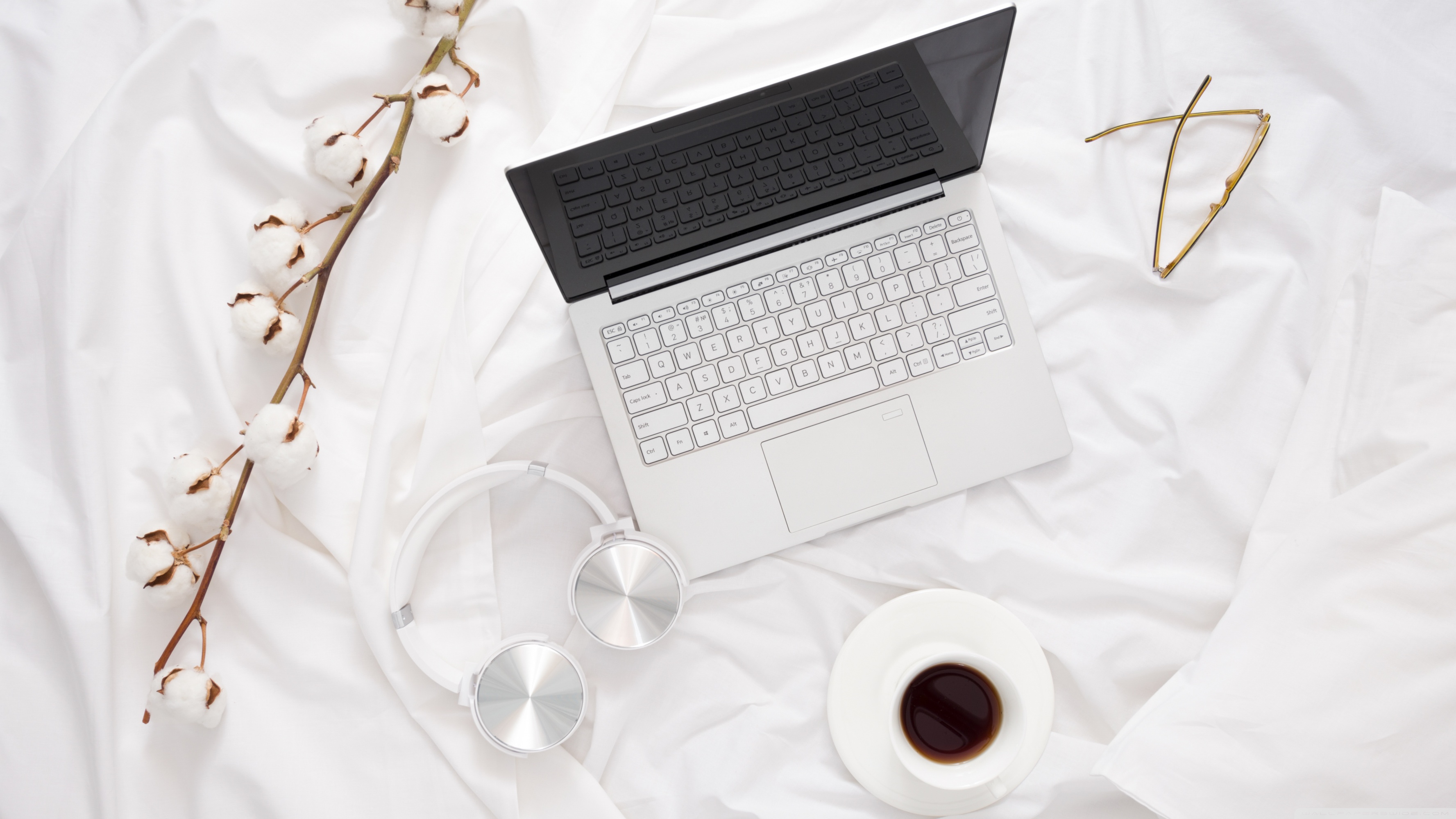 Netbook - 3554x1999 Wallpaper - teahub.io