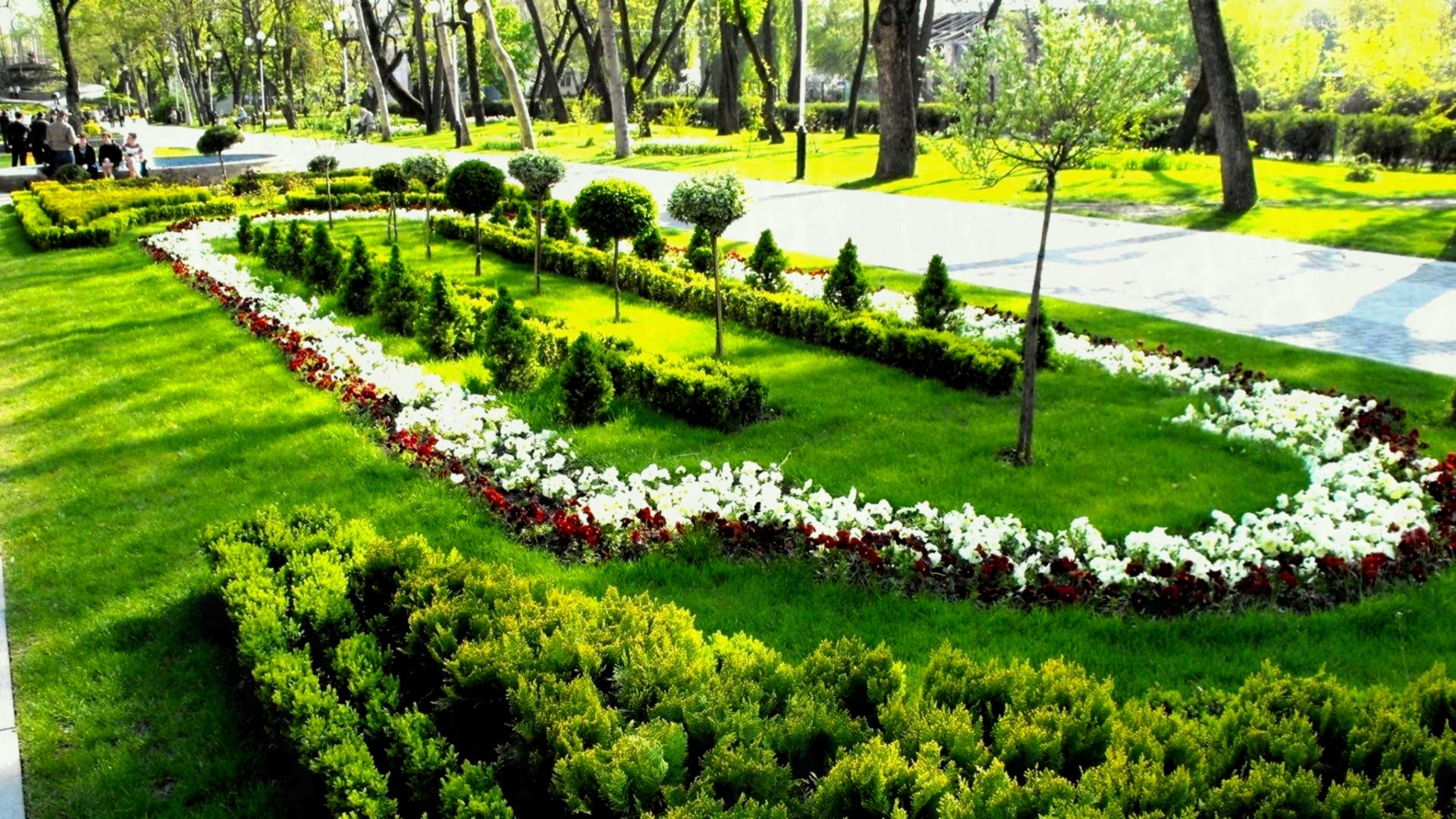 Big Mob - Chakeri Park Kanpur - 1920x1080 Wallpaper - teahub.io