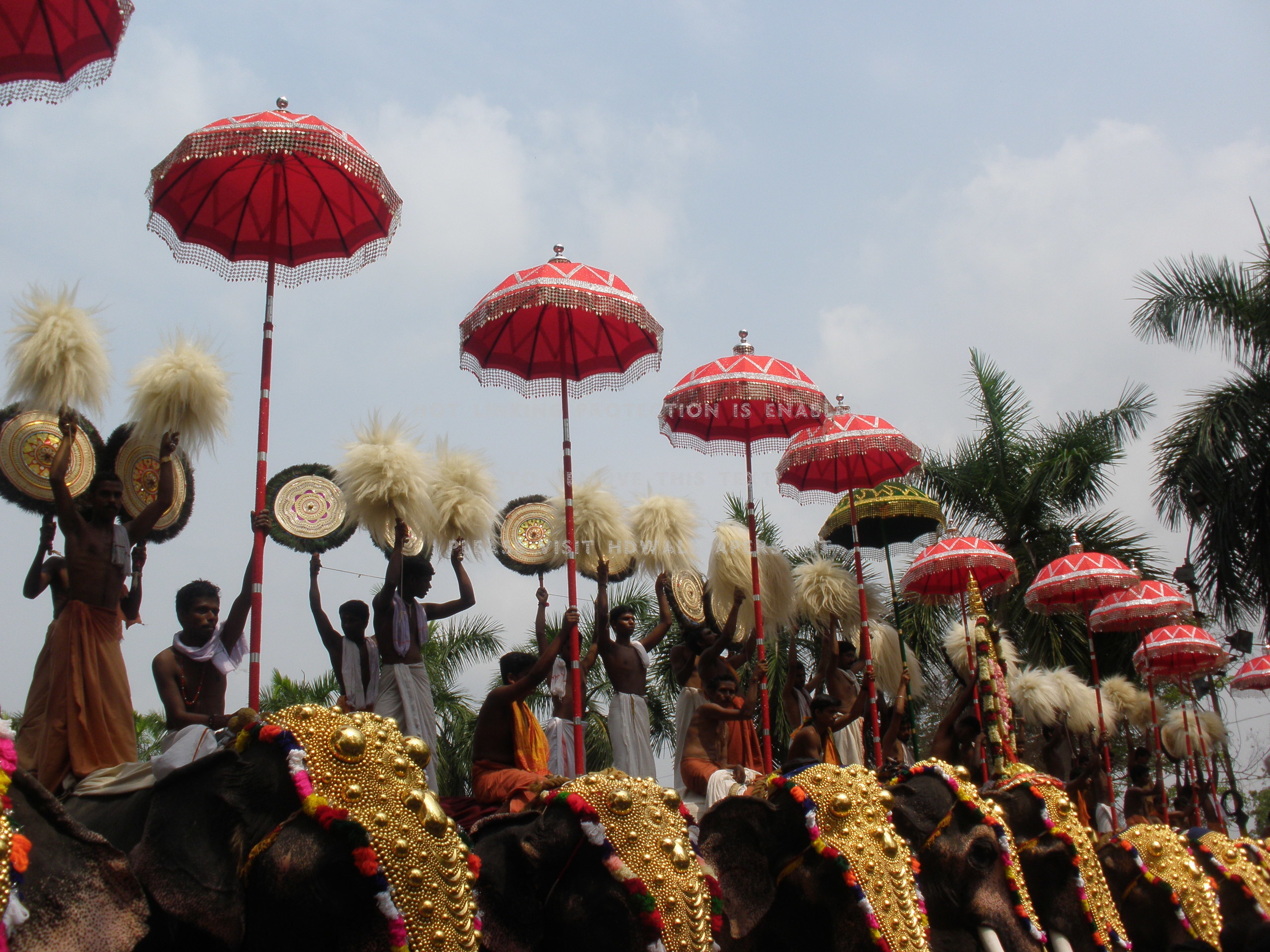 Trissur Pooram Festival Kerala Elephant Sky - Tree - 2560x1920 ...