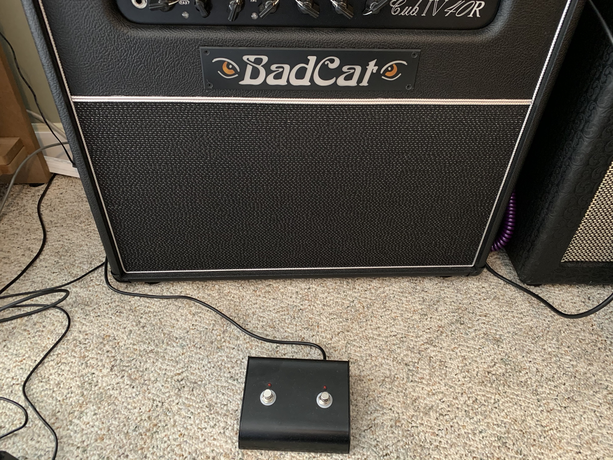 Bad Cat Cub Iv - 2048x1536 Wallpaper - teahub.io