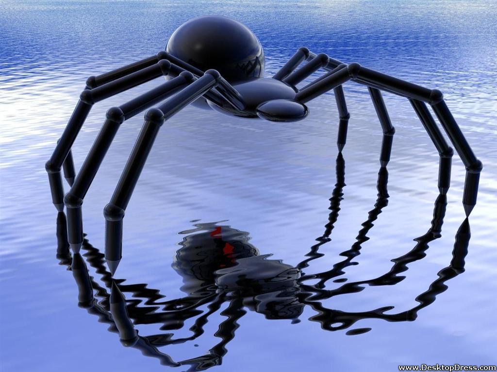 Water Spider - Spider On The Water - 1024x768 Wallpaper - teahub.io
