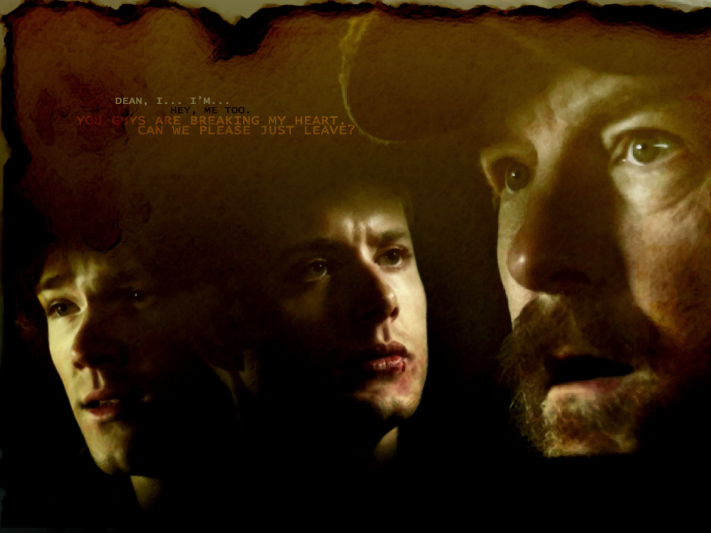 Spn Wallpaper - Human - 1024x768 Wallpaper - teahub.io