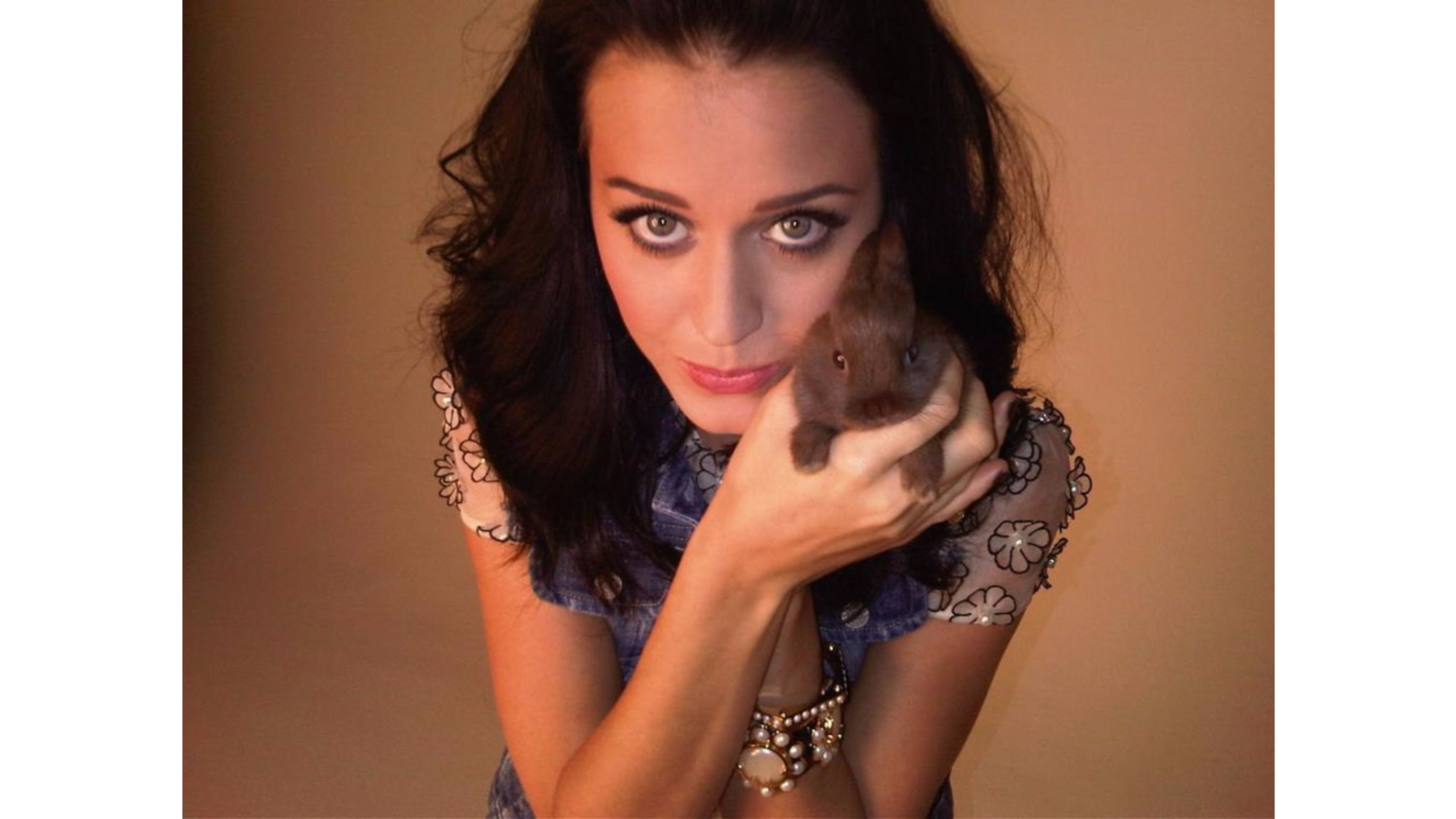 Katy Perry Cute - 3840x2160 Wallpaper - teahub.io