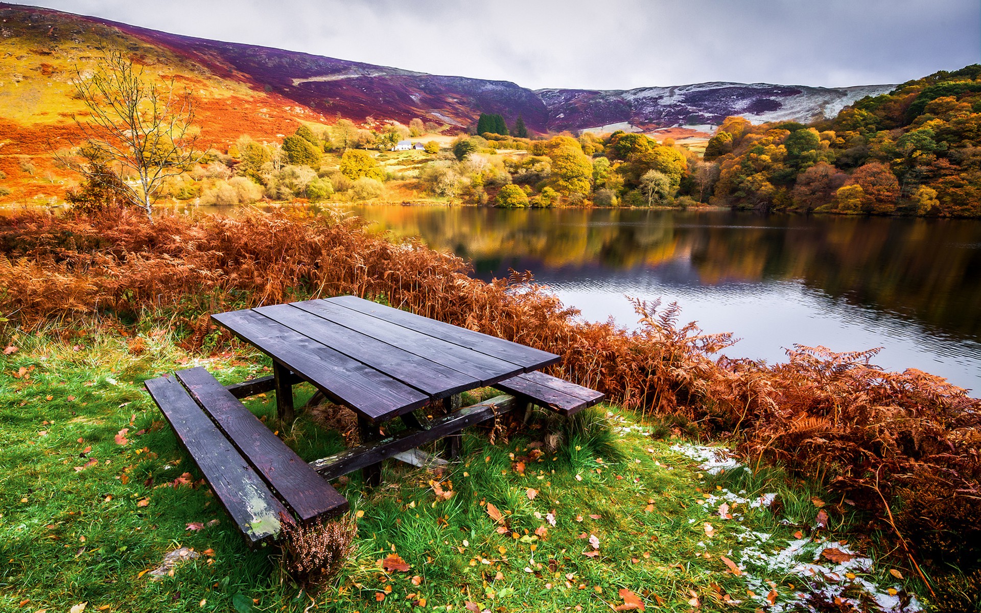 Table Nature Background Hd - 1920x1200 Wallpaper - teahub.io