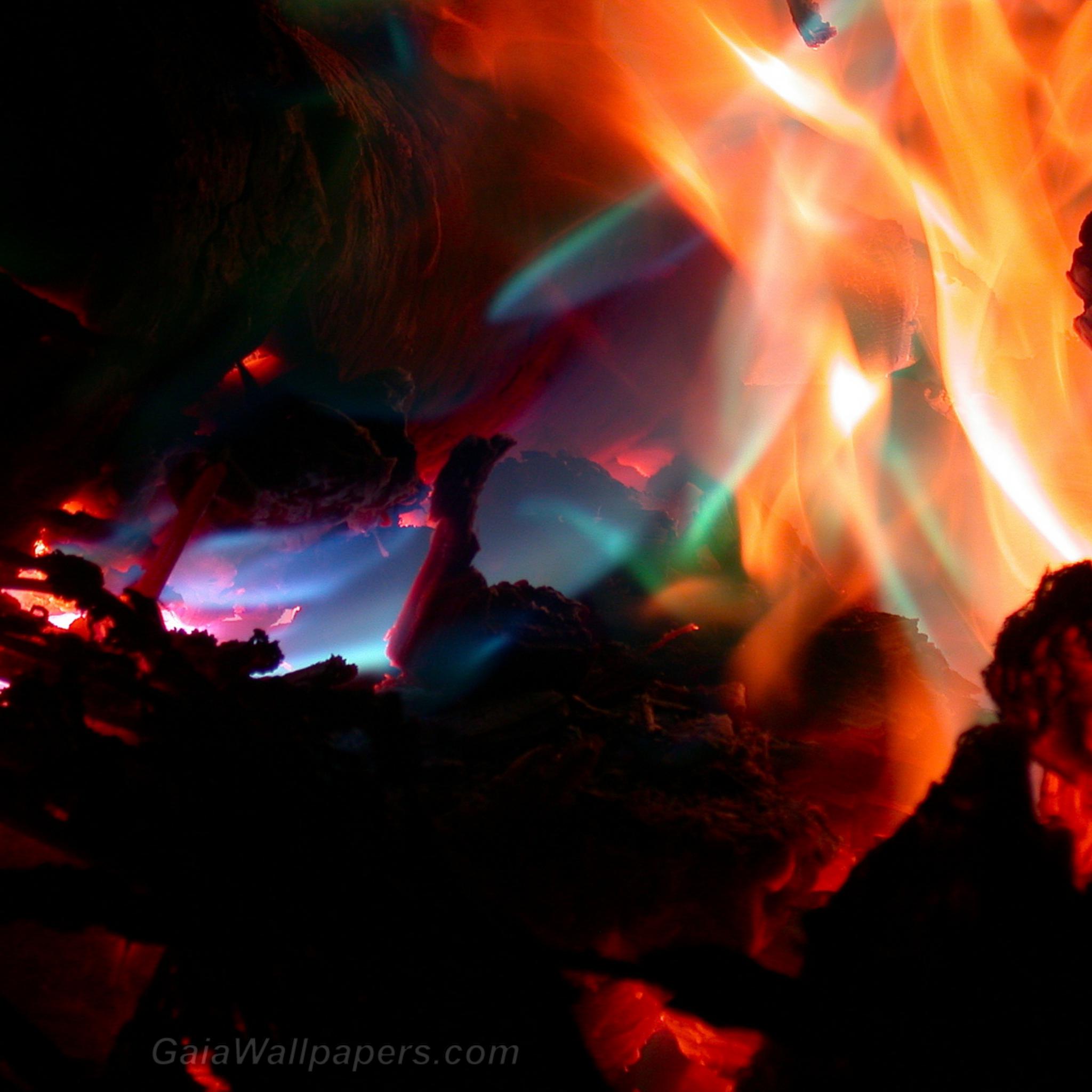 Download Fire Blue, Green, Yellow, Orange And Red - Loved You With A ...