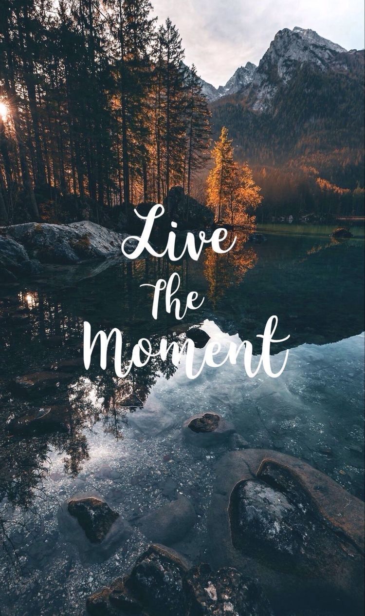 De Frases En Ingles 750x1263 Wallpaper Teahub io