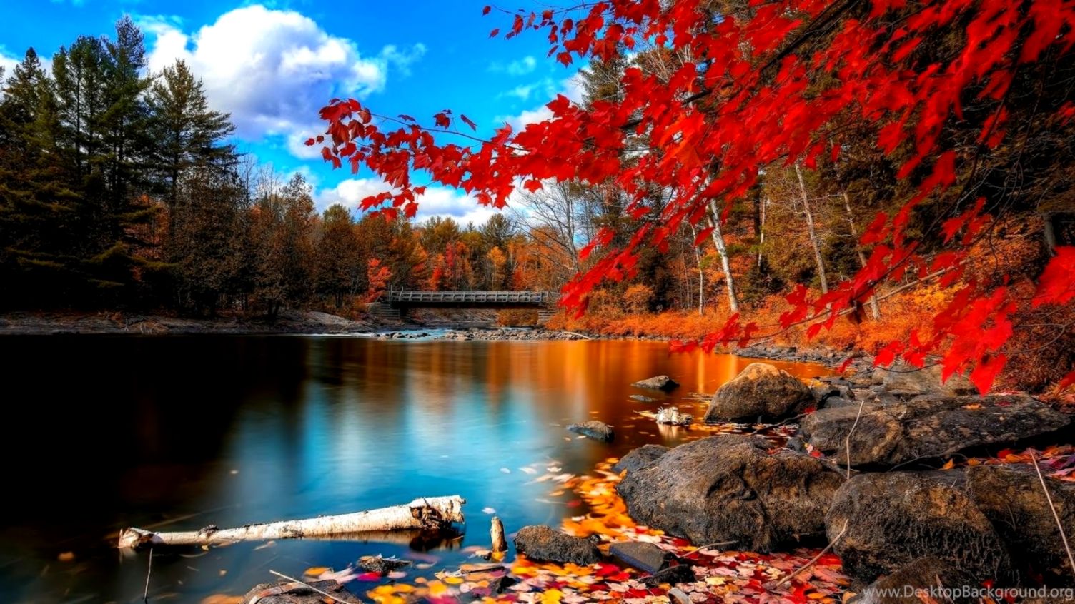 Download Desktop Wallpapers Hd 3d Full Screen Nature Desktop - Desktop ...