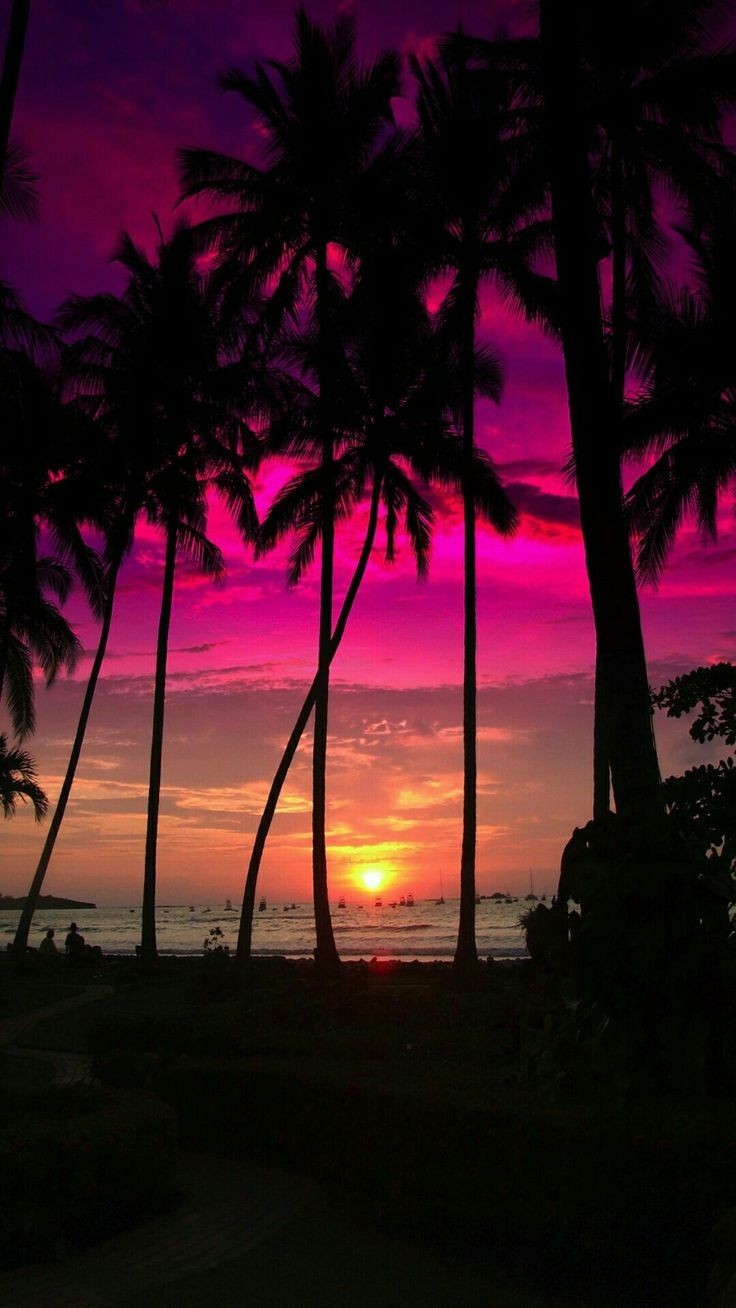 Beautiful Sunset Costa Rica - 736x1308 Wallpaper - teahub.io