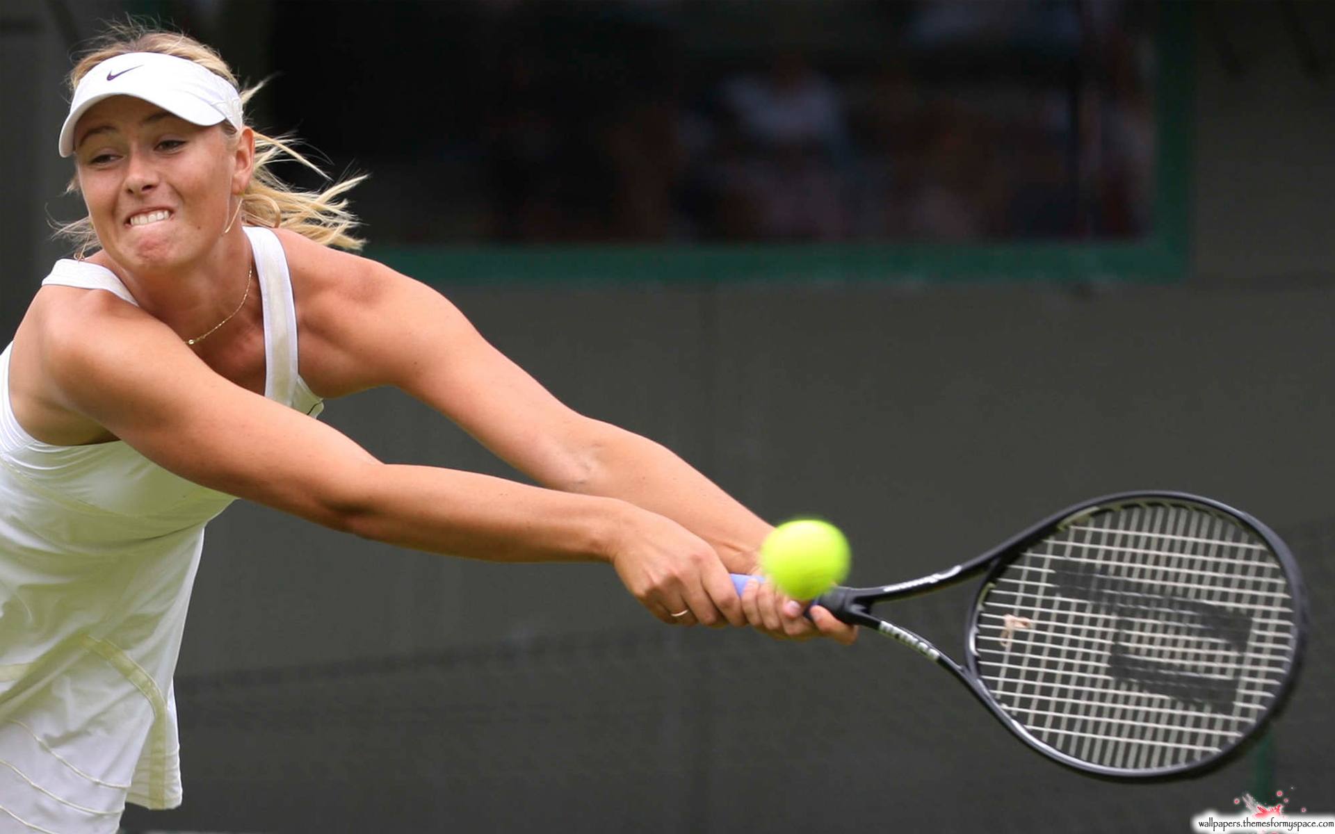 Maria Sharapova Models Images Wallpaper - Maria Sharapova Arse ...