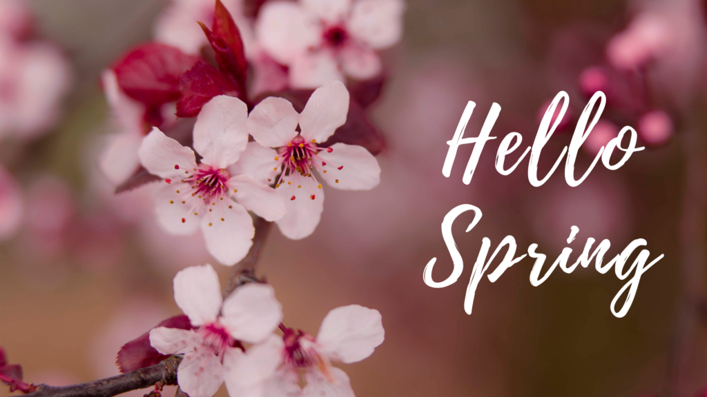 Hello Spring Wallpapers