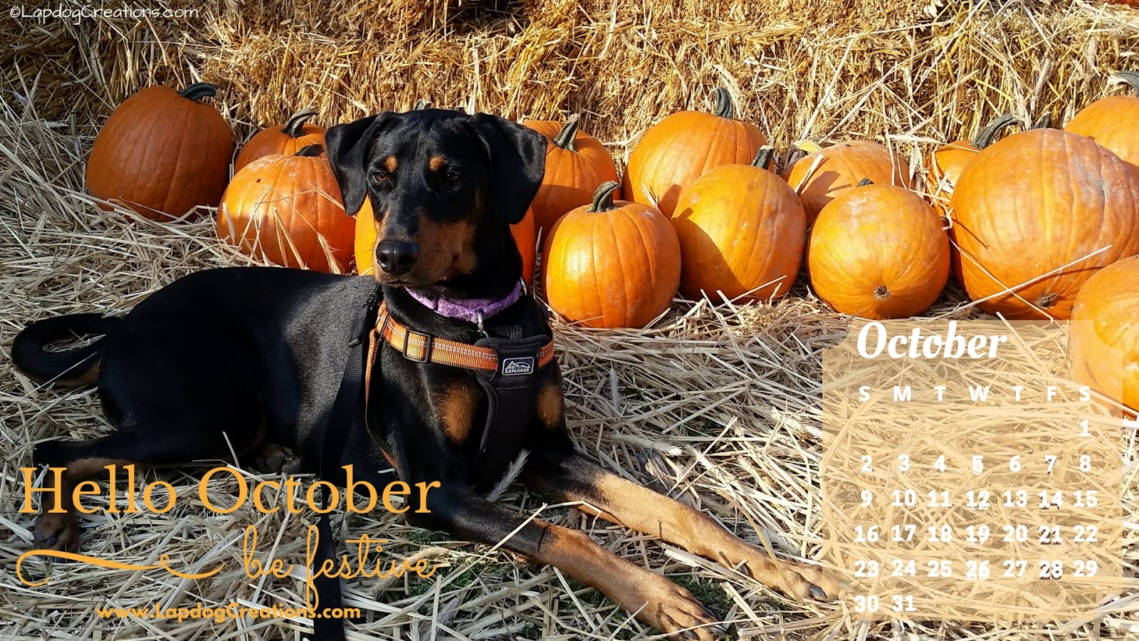 October 2016 Desktop Calendar Doberman Dog - October Dog Calendar ...