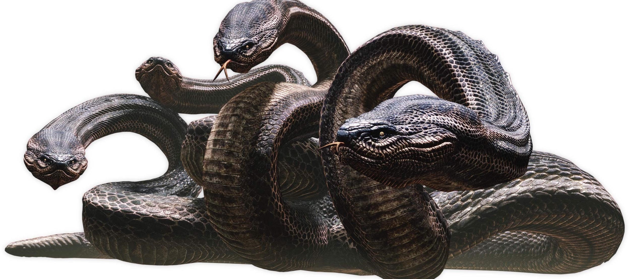 Serpent - 2500x1109 Wallpaper - teahub.io