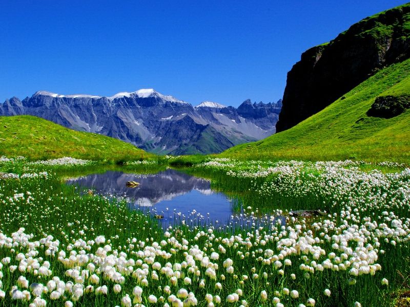 Spring In The Alps Wallpaper - Dersimin En Güzel Yerleri - 800x600 ...