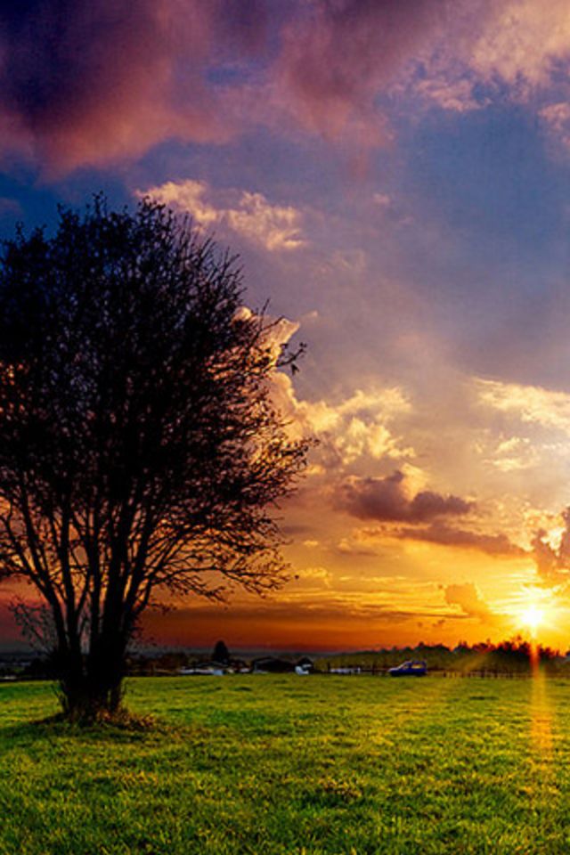 Sunset Spring Wallpaper - Spring Wallpaper Hd Iphone - 640x960 ...