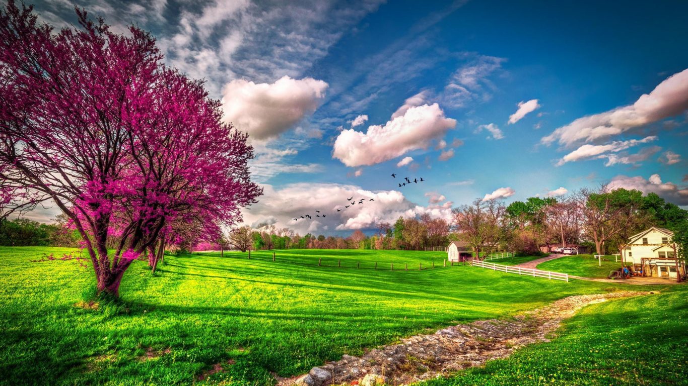 Spring Wallpaper Free Download - 1366x768 Wallpaper - teahub.io