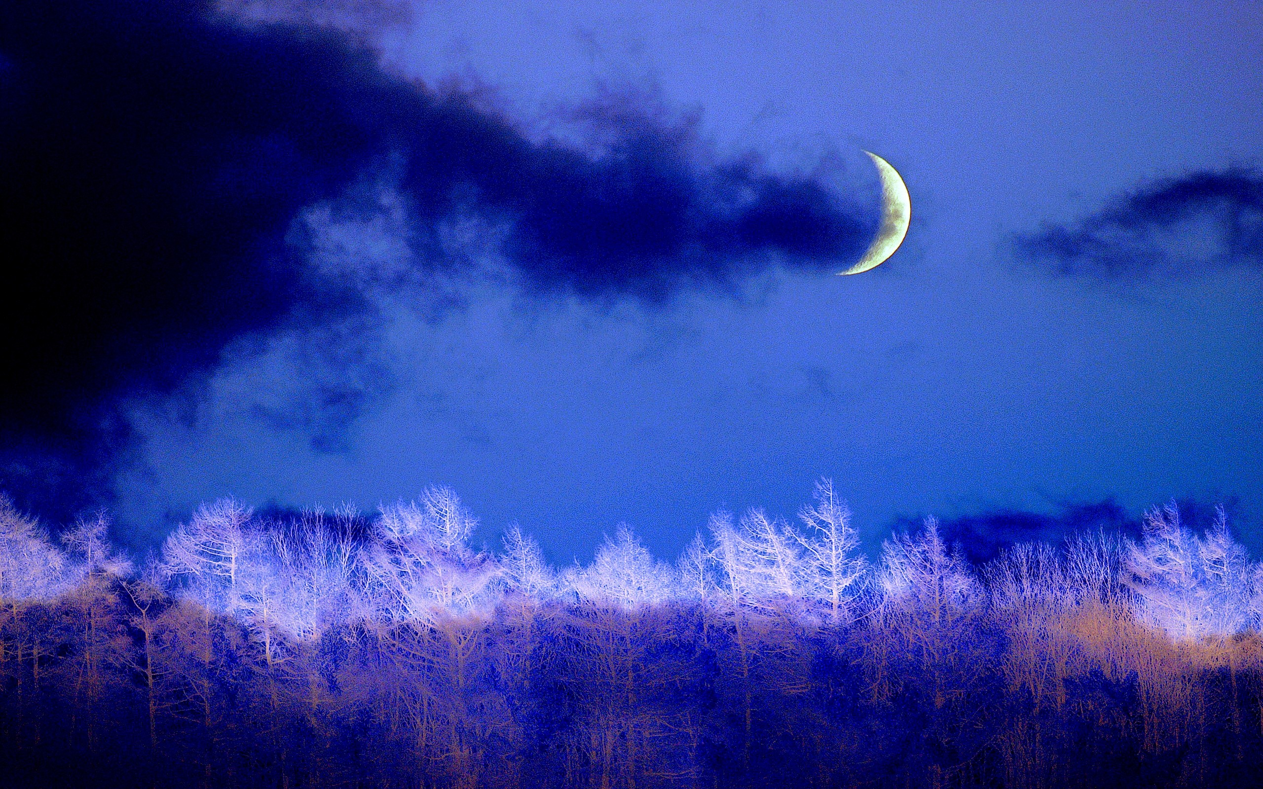 Winter Crescent Moon Snow - 2560x1600 Wallpaper - teahub.io