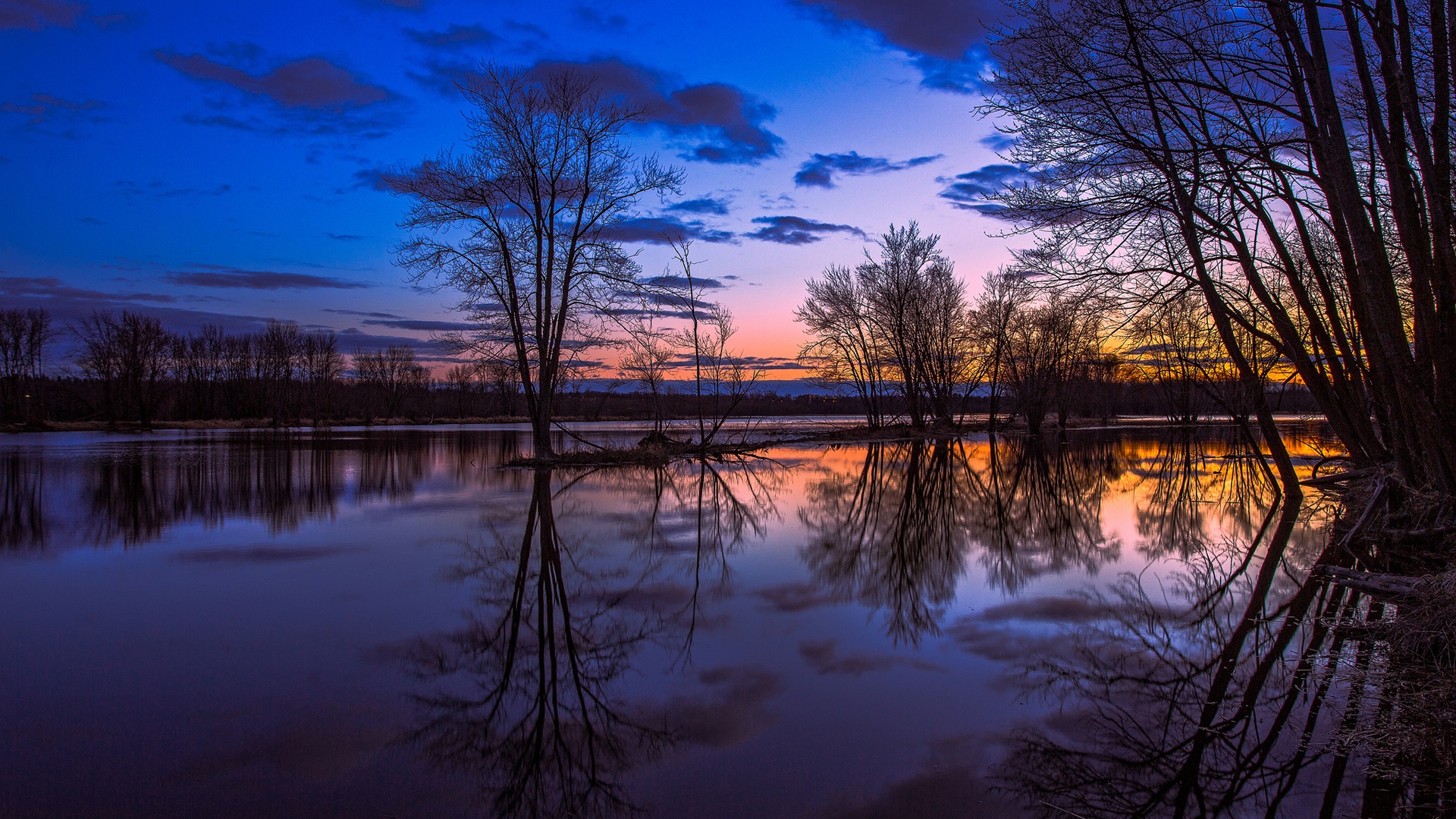 River Trees Sunset Hd - 1920x1080 Wallpaper - teahub.io