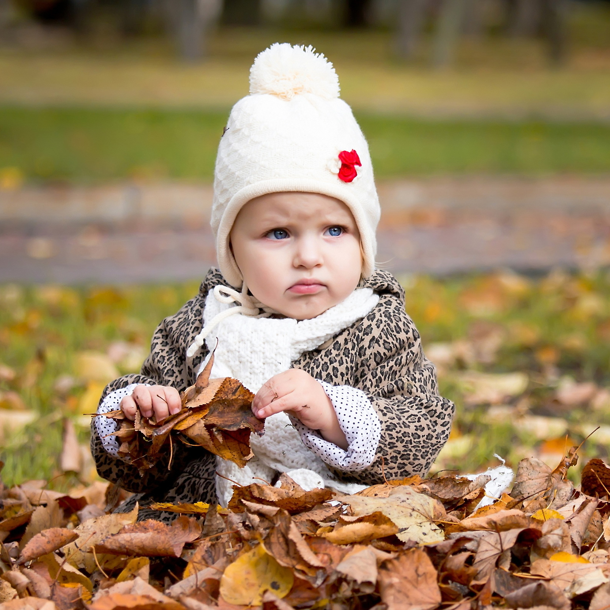 Baby Pic With Fall Leaves - 2048x2048 Wallpaper - teahub.io