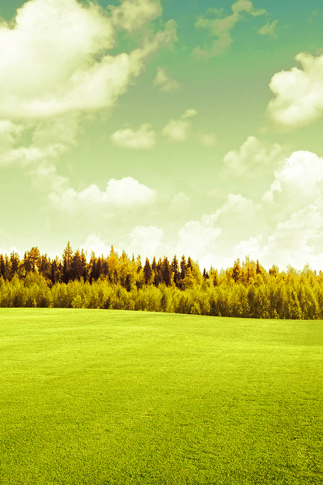 Grass Field Wallpaper - Field Wallpaper Vertical - 640x960 Wallpaper ...