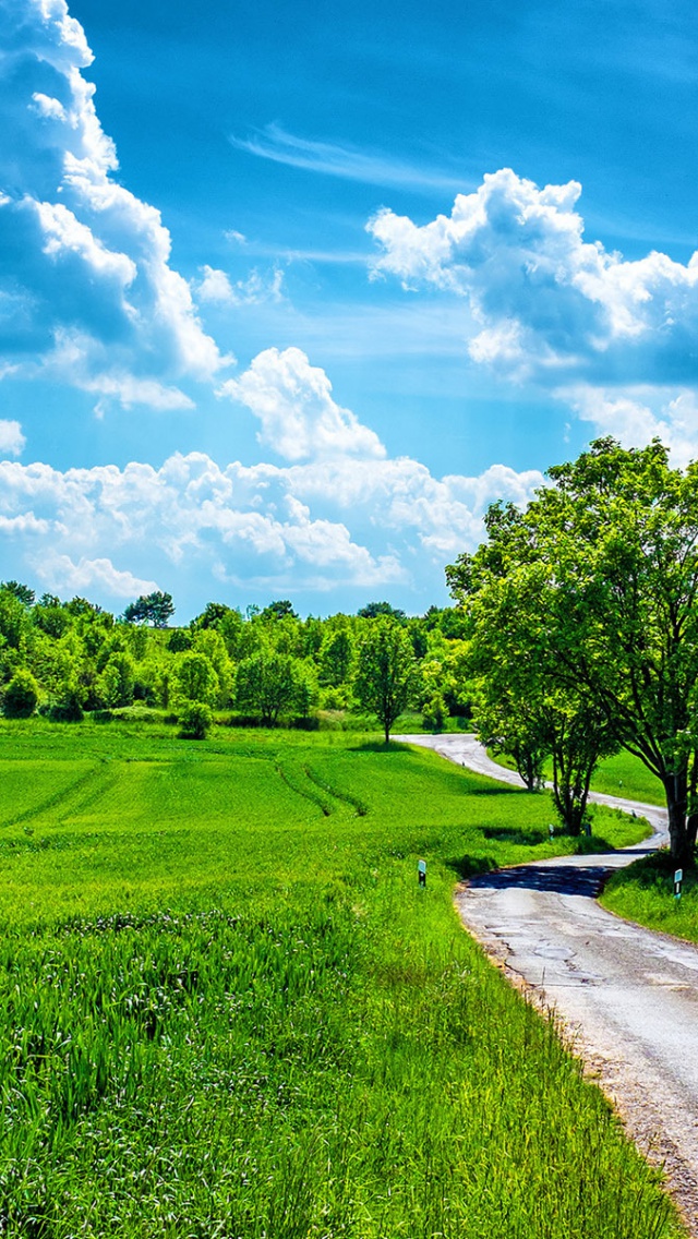 Summer Nature - 640x1136 Wallpaper - teahub.io