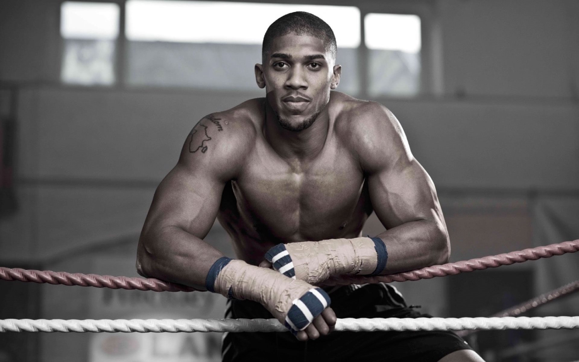 Anthony Joshua, British Boxer, World Champion, Olympic - Anthony Joshua ...