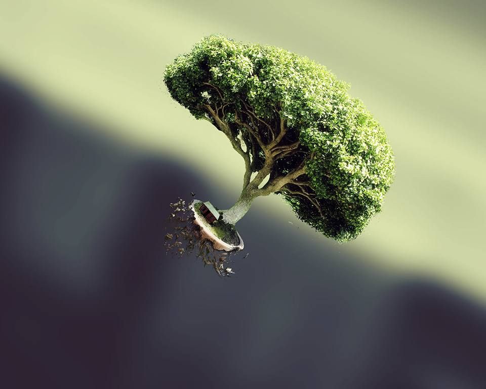 Quotes Of Hamza Radi Allahu - 960x768 Wallpaper - teahub.io