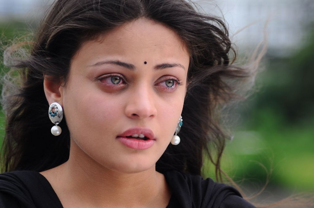 Sneha Ullal Photos Hd - 1024x680 Wallpaper - teahub.io