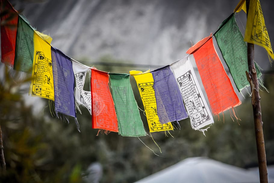 Leh Ladakh Flag - 910x607 Wallpaper - teahub.io