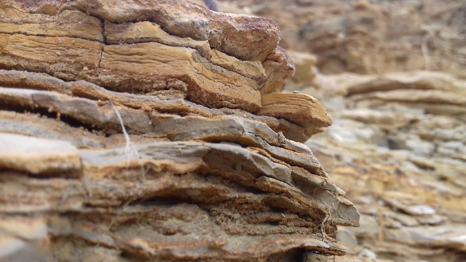 Kutch Dry Clay Backgraund - Outcrop - 1600x900 Wallpaper - teahub.io