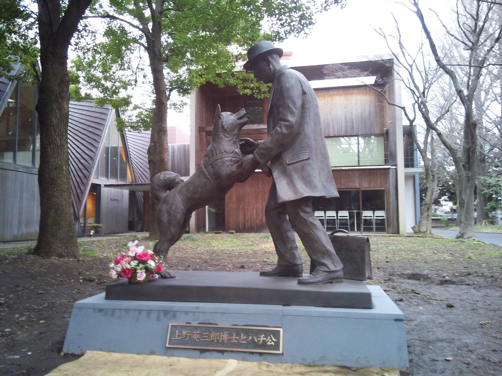 Hachikō - 1024x768 Wallpaper - teahub.io