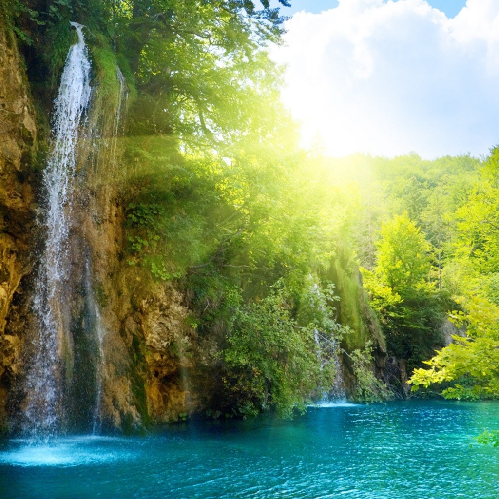 Natural Good Mrng Gif - 1024x1024 Wallpaper - teahub.io