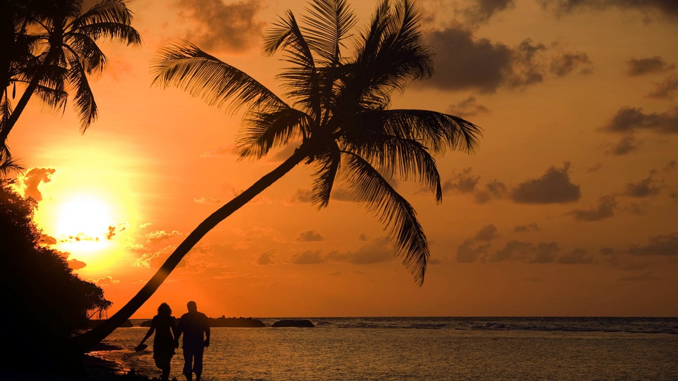 Polynesian Paradise Wallpaper2011 - Sunset - 1366x768 Wallpaper - teahub.io
