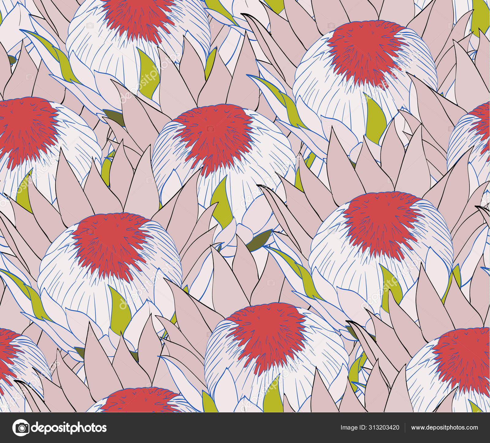 Chrysanths - 1600x1447 Wallpaper - teahub.io