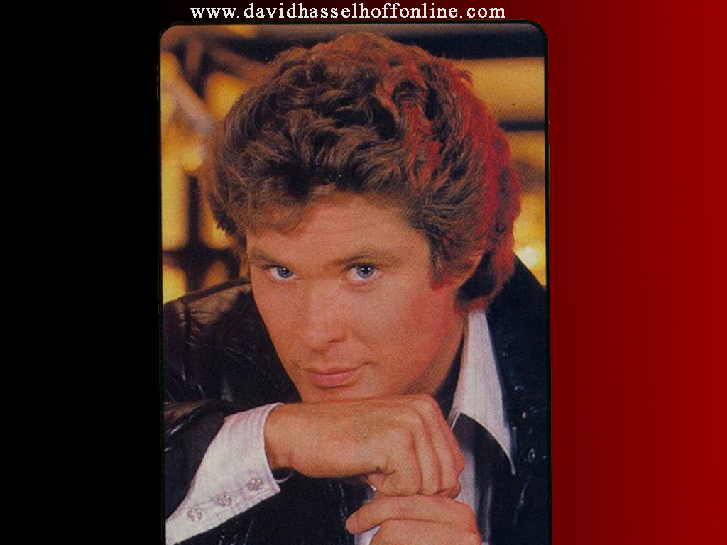 David - David Hasselhoff - 1024x768 Wallpaper - teahub.io