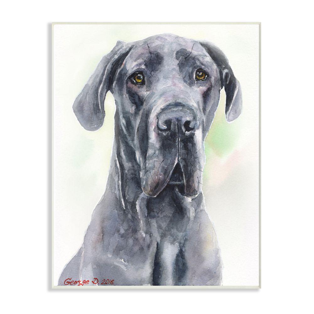 Great Dane Watercolor Painting - 1000x1000 Wallpaper - teahub.io