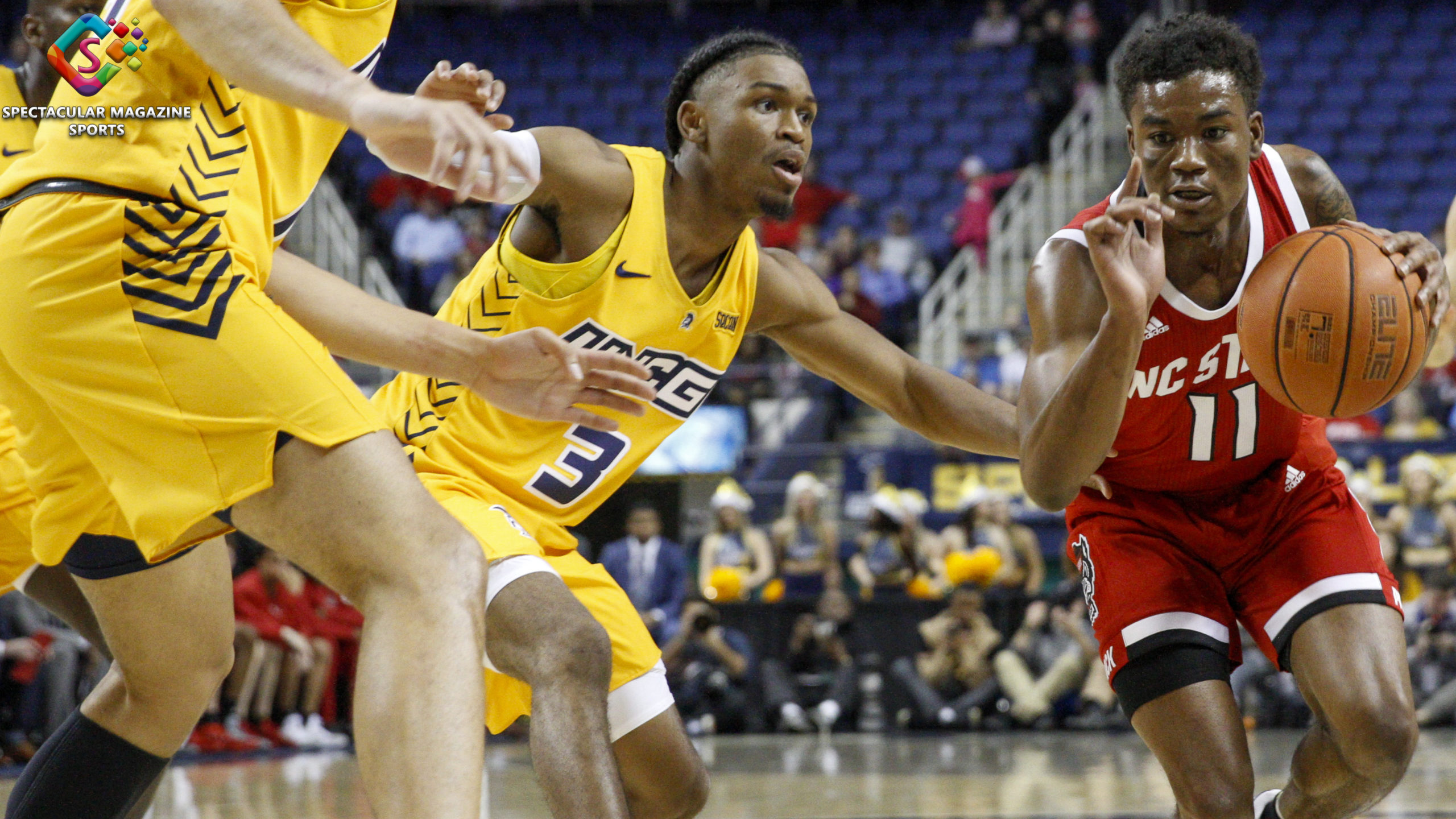 Markell Johnson - Dribble Basketball - 2560x1440 Wallpaper - teahub.io