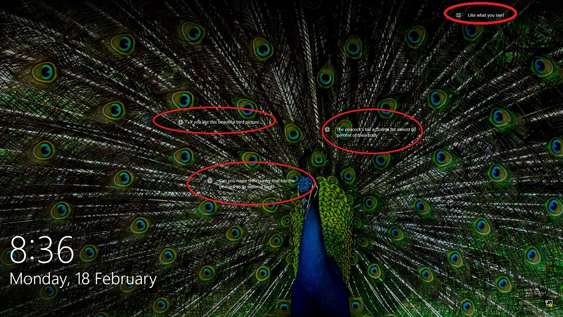 Download Example Image From Windows Spotlight - Windows 10 Lock Screen ...