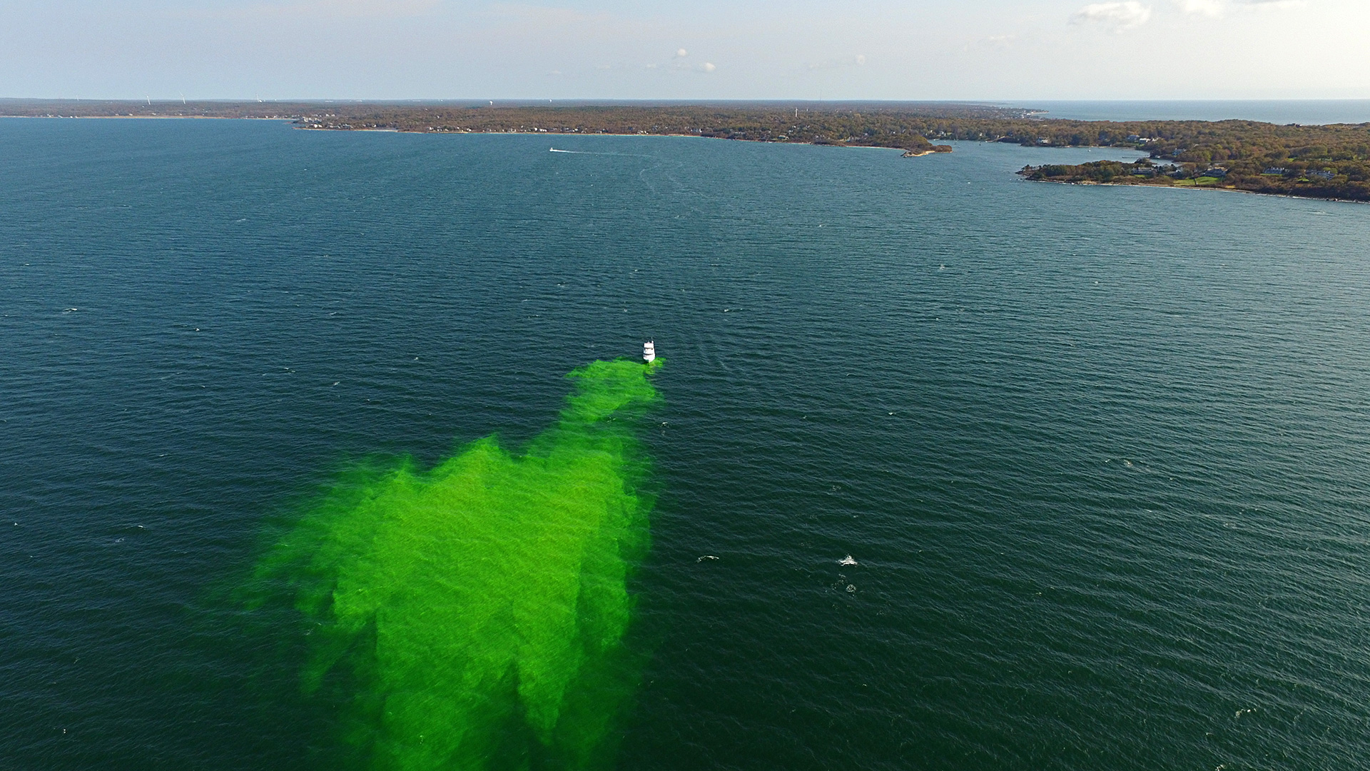 Green Ocean Oil Spill - 1920x1080 Wallpaper - teahub.io