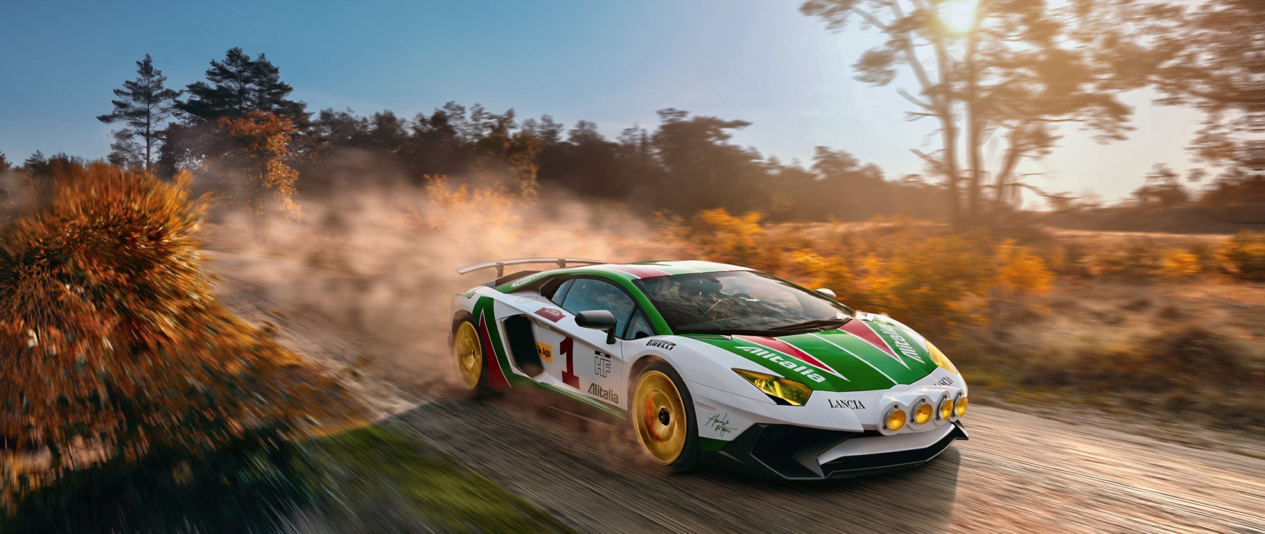 Download Lamborghini Rally - Teahub.io