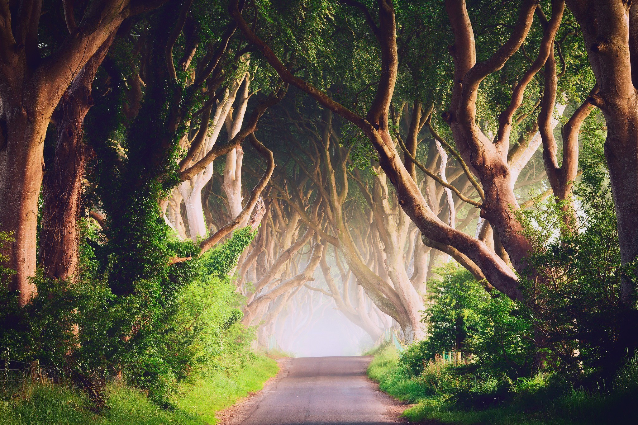 Download 2048x1365, Ireland, Road, Trees, Landscape, Nature - Old ...