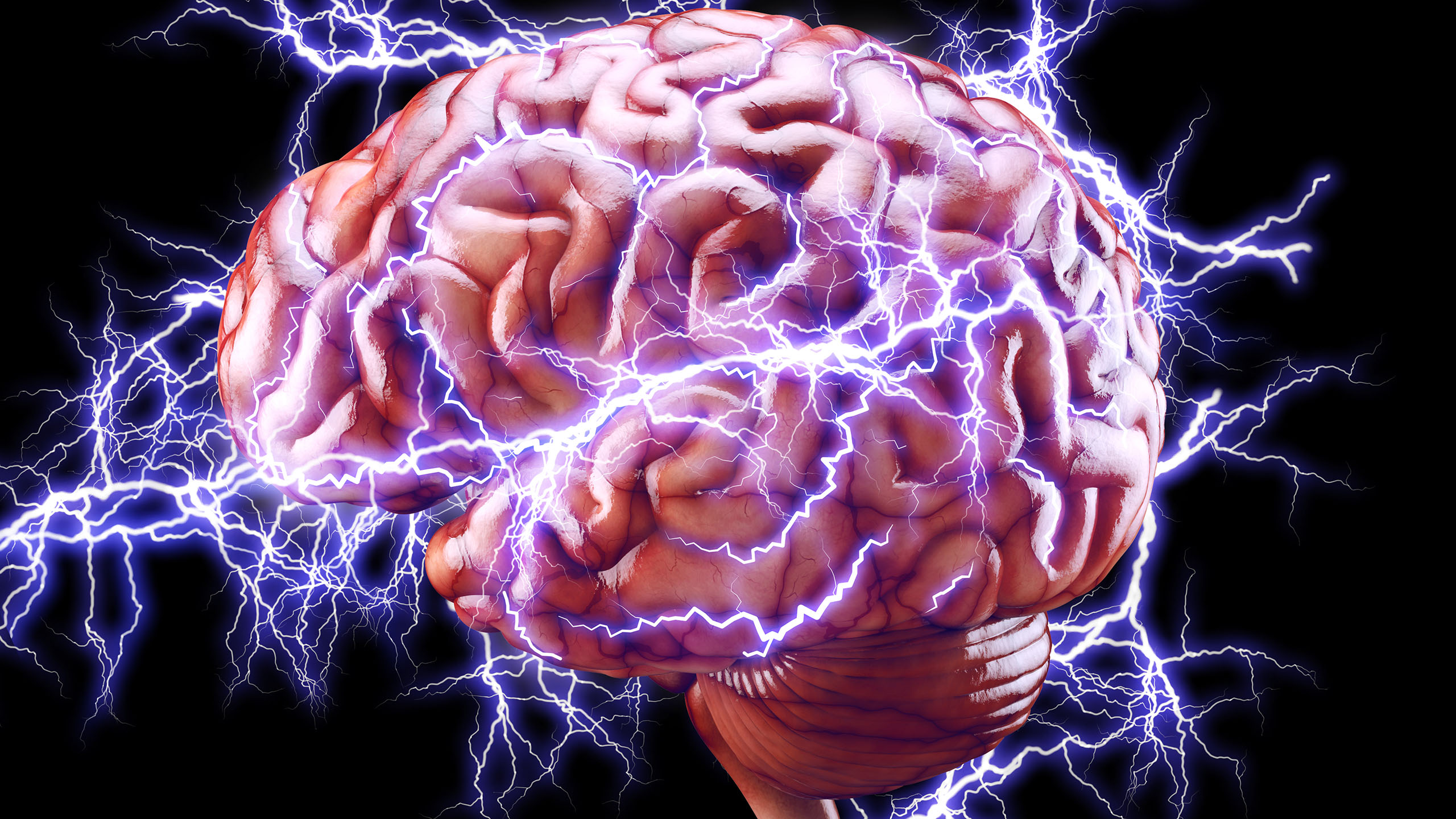 Pumping Brain - 2560x1440 Wallpaper - teahub.io