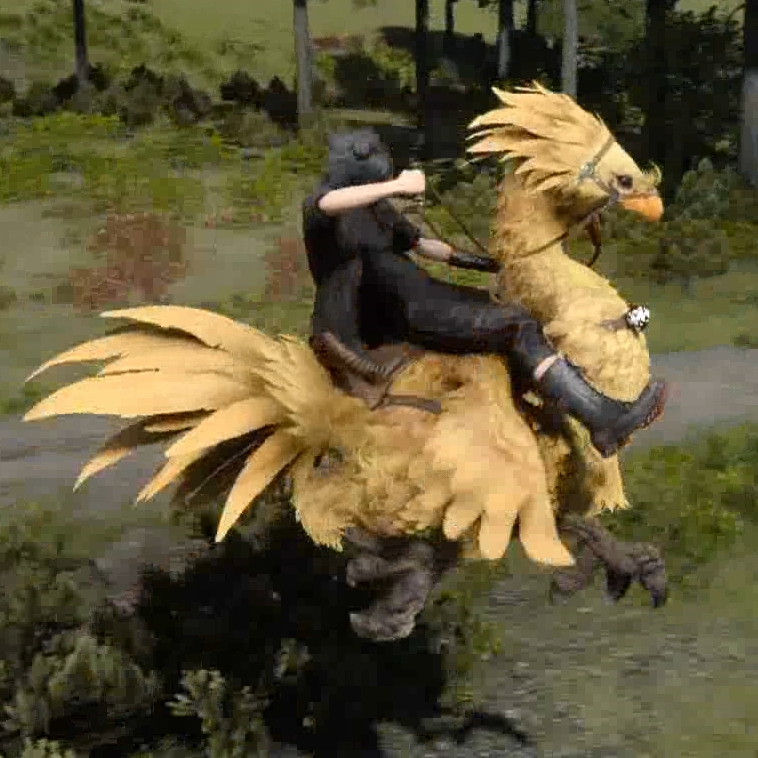 Mane - 758x758 Wallpaper - teahub.io