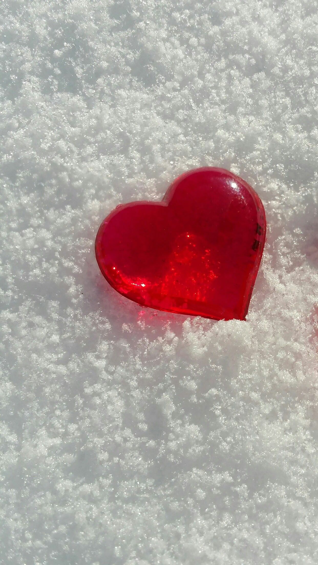 Dill Love - 1242x2208 Wallpaper - teahub.io