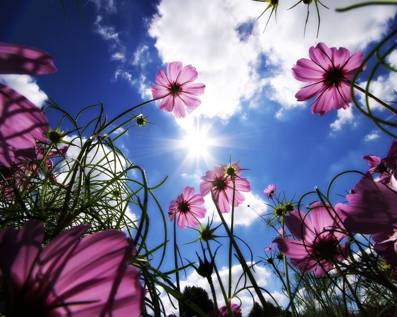 Beautiful Wallpapers For Tablets - 1280x1024 Wallpaper - teahub.io