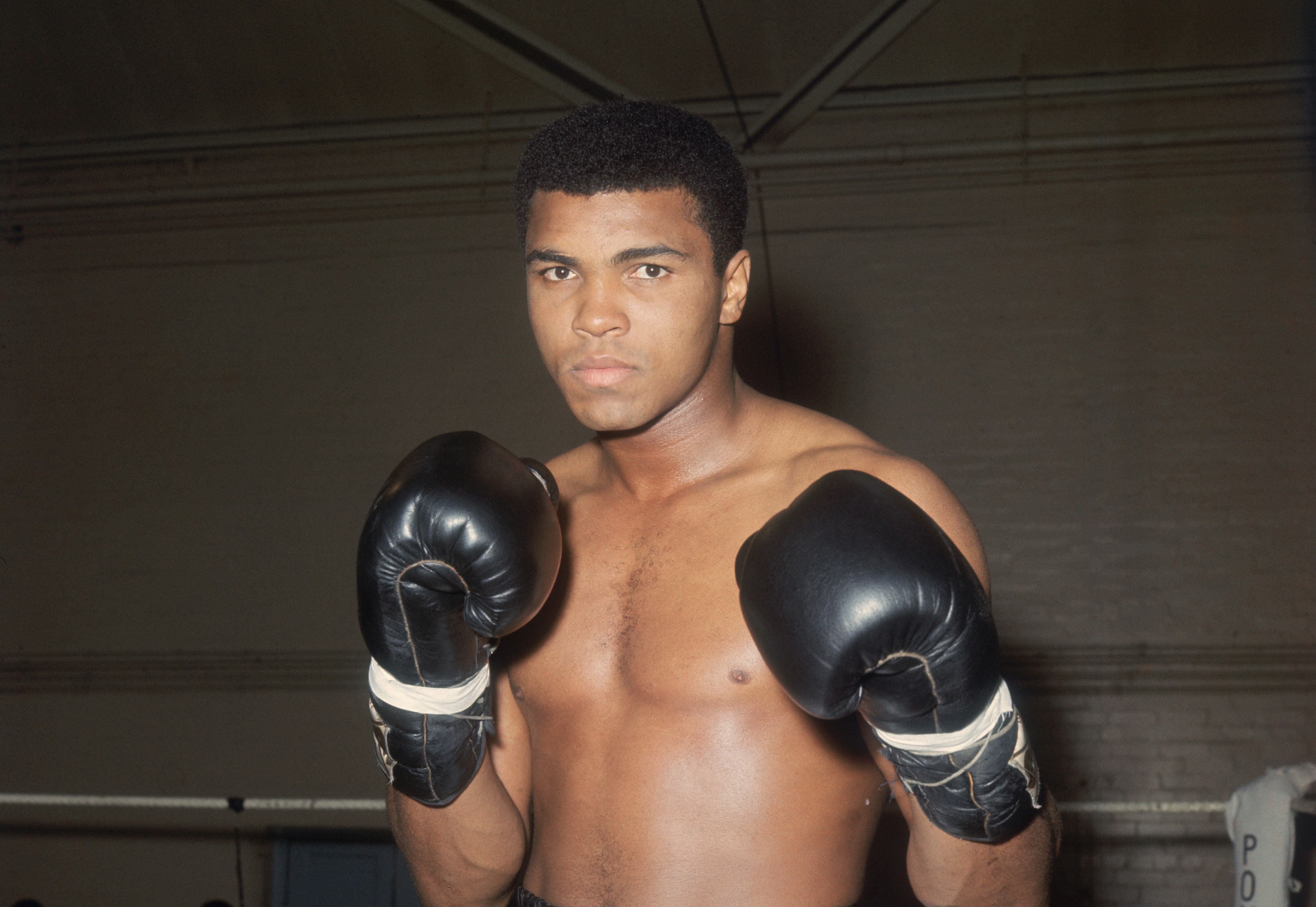 Muhammad Ali Wallpaper - Muhammad Ali Boxer - 3985x2747 Wallpaper ...