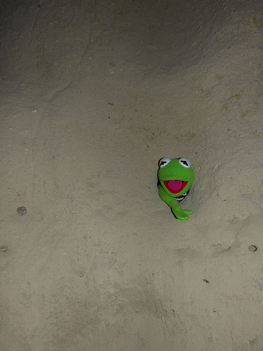 Kermit, Frog, Green, Wall, Hole, Caught, Stone, Cold, - Kermit In A ...