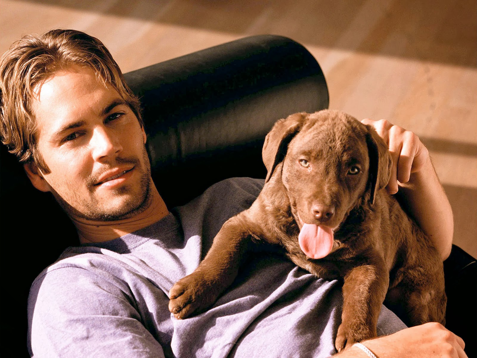 Paul Walker Dogs - 1600x1200 Wallpaper - teahub.io