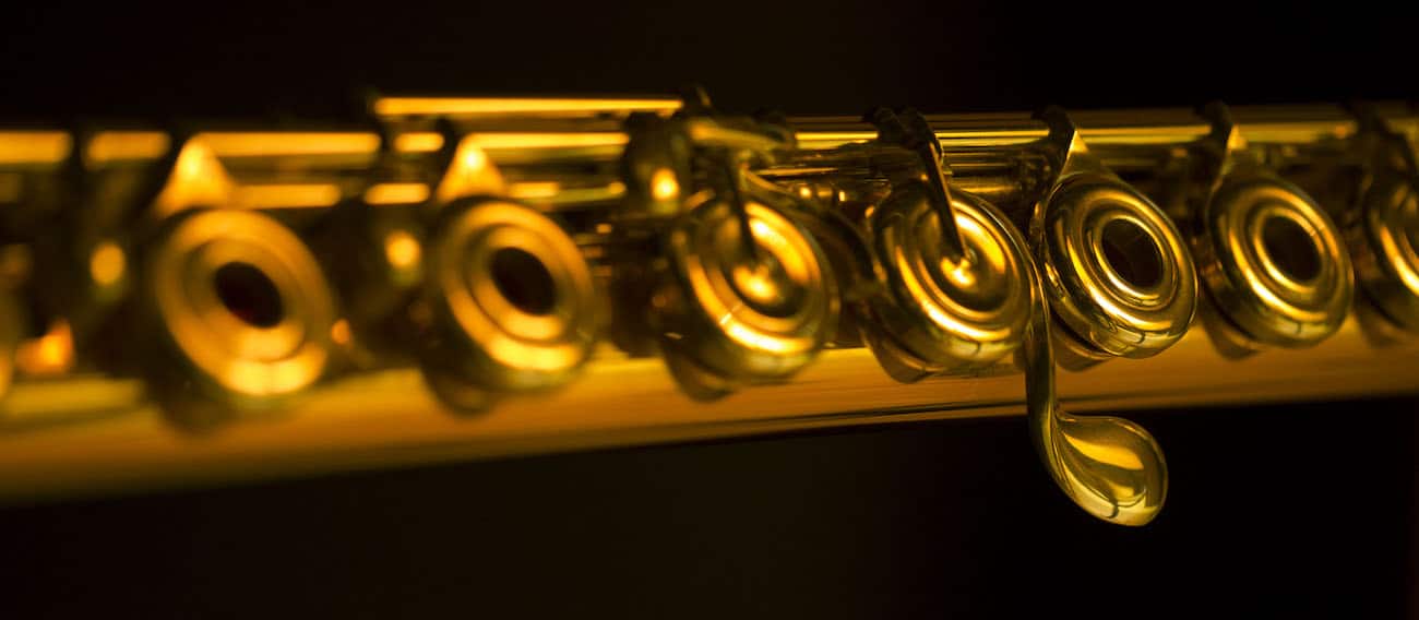 Fluffy Audio Stefania Maratti Solo Flute - 1300x568 Wallpaper - teahub.io